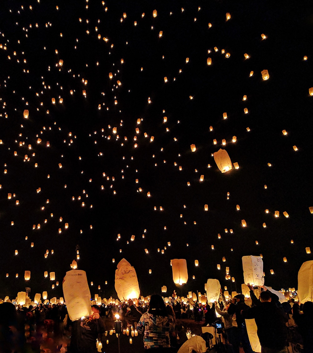 Formulaire de retour - Terre Anima